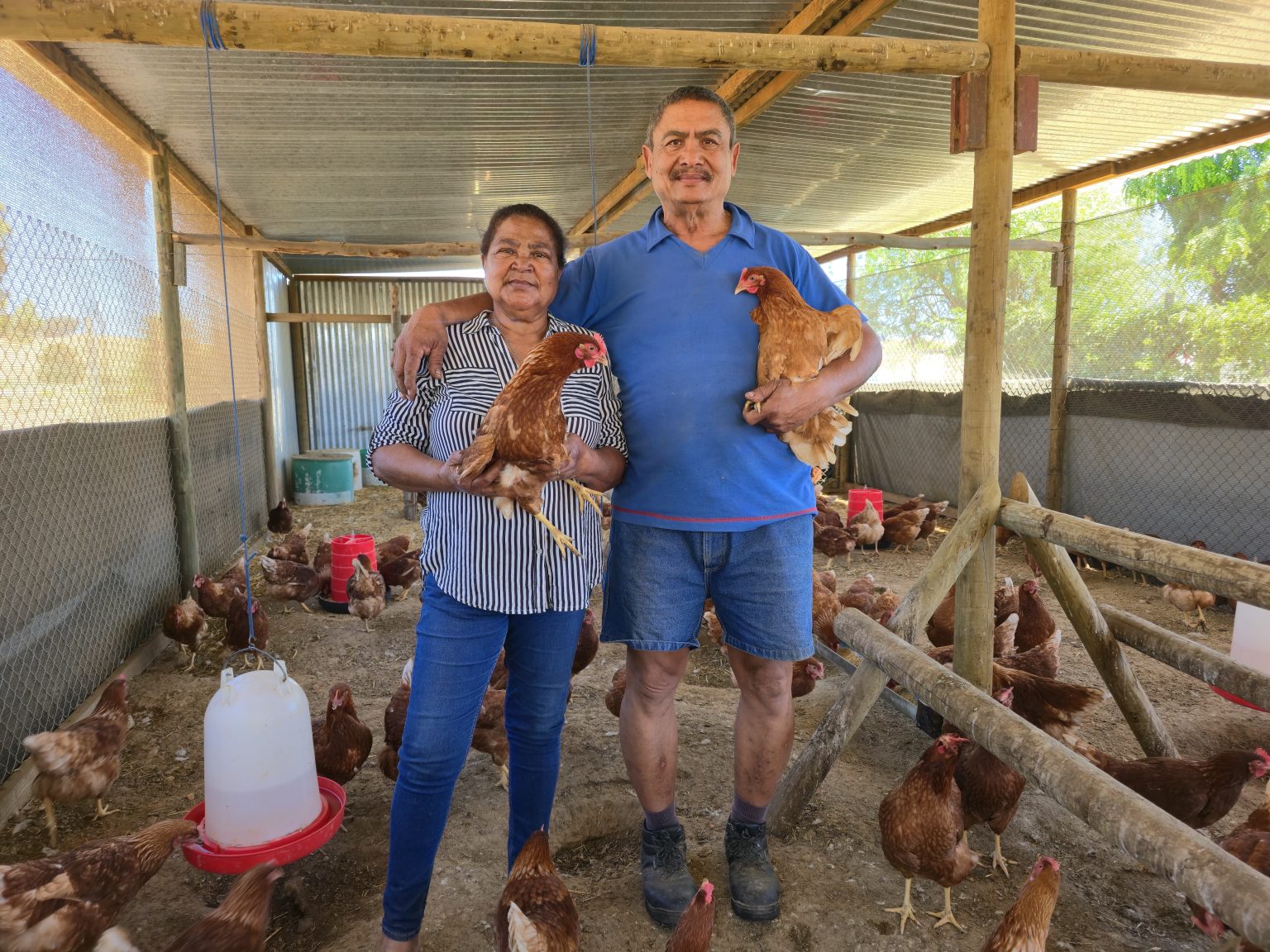 The Chicken Coop Project Boosts Emerging Farmers in Moorreesburg ...